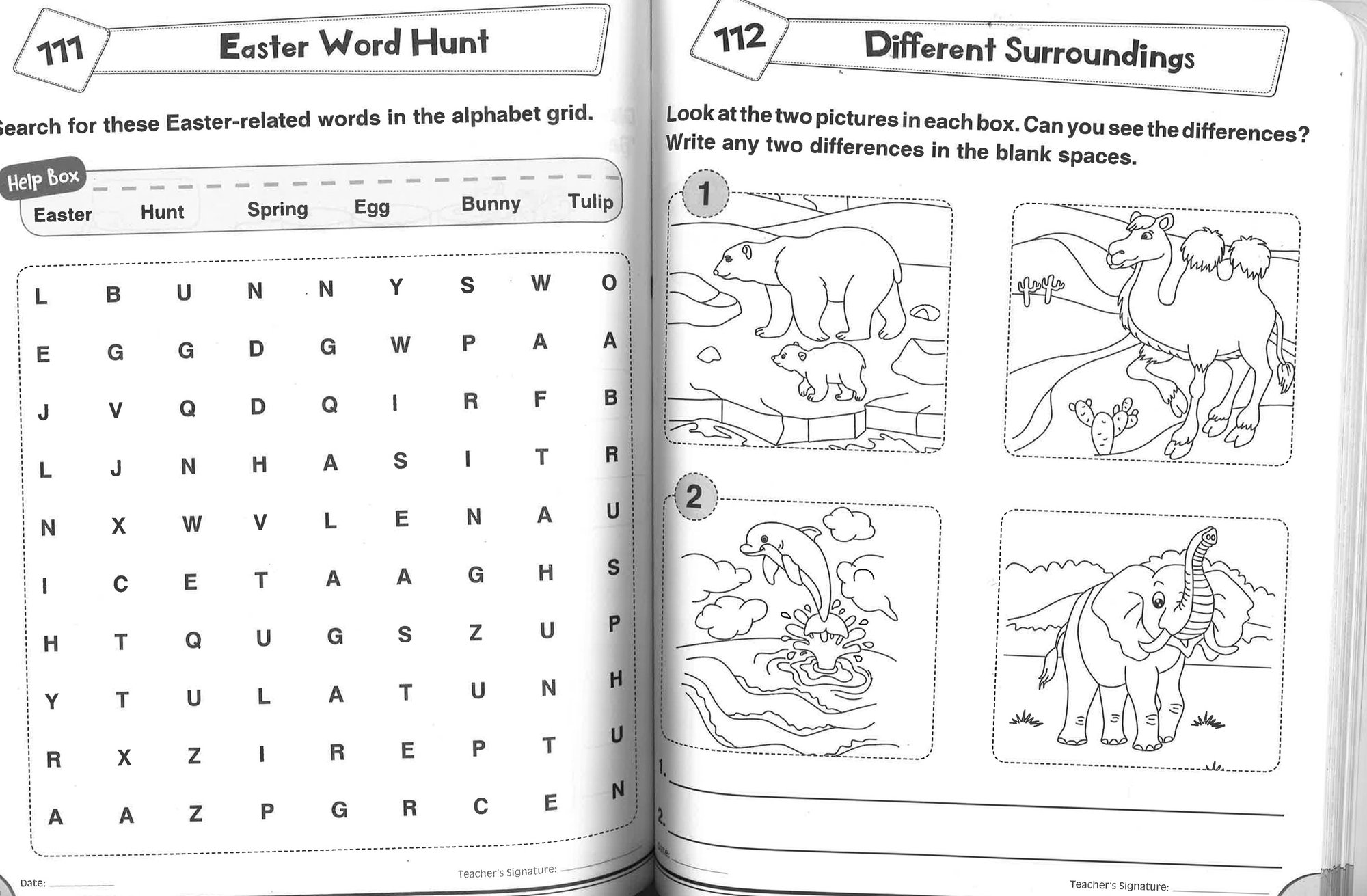 Buy My First English Workbook Book in Pakistan