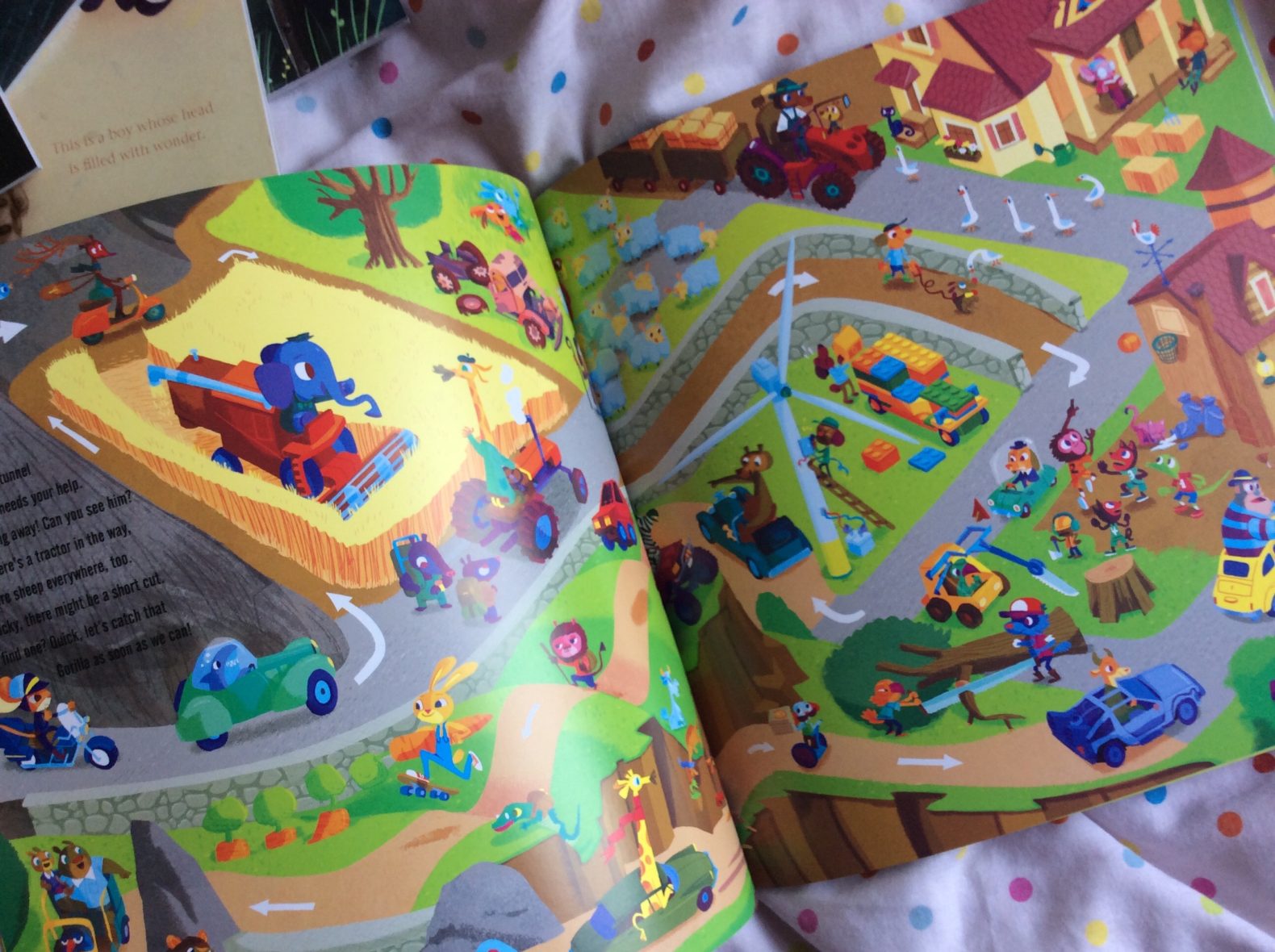 Buy Cover Damaged - Follow That Car (Search, Find n Follow) Book in ...