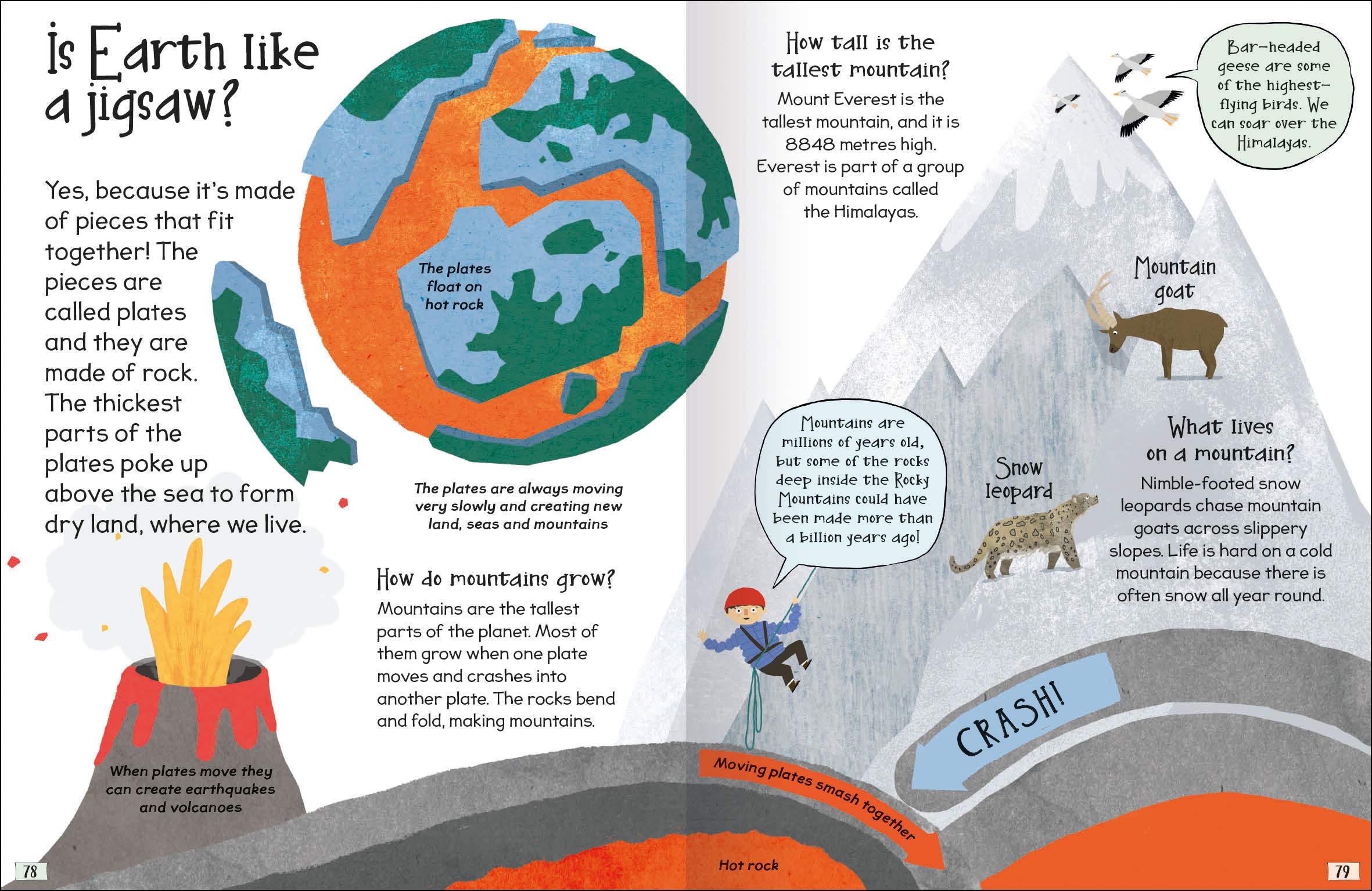 Buy Extremely Curious Questions and Answers (Hardcover) Book in Pakistan