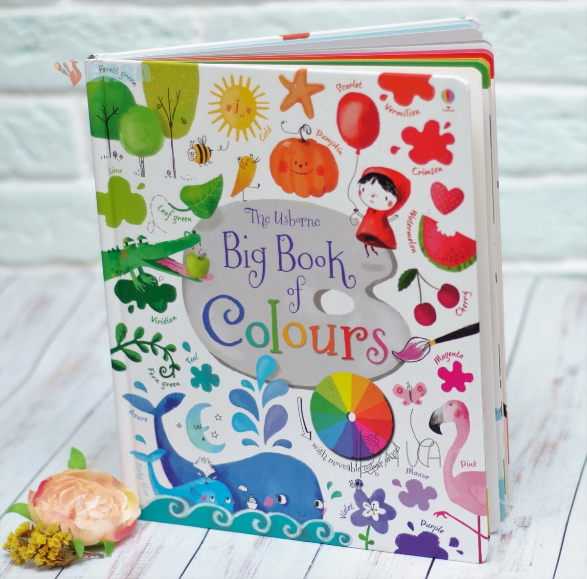 Buy Usborne Big Book of Colours (Board Book) Book in Pakistan