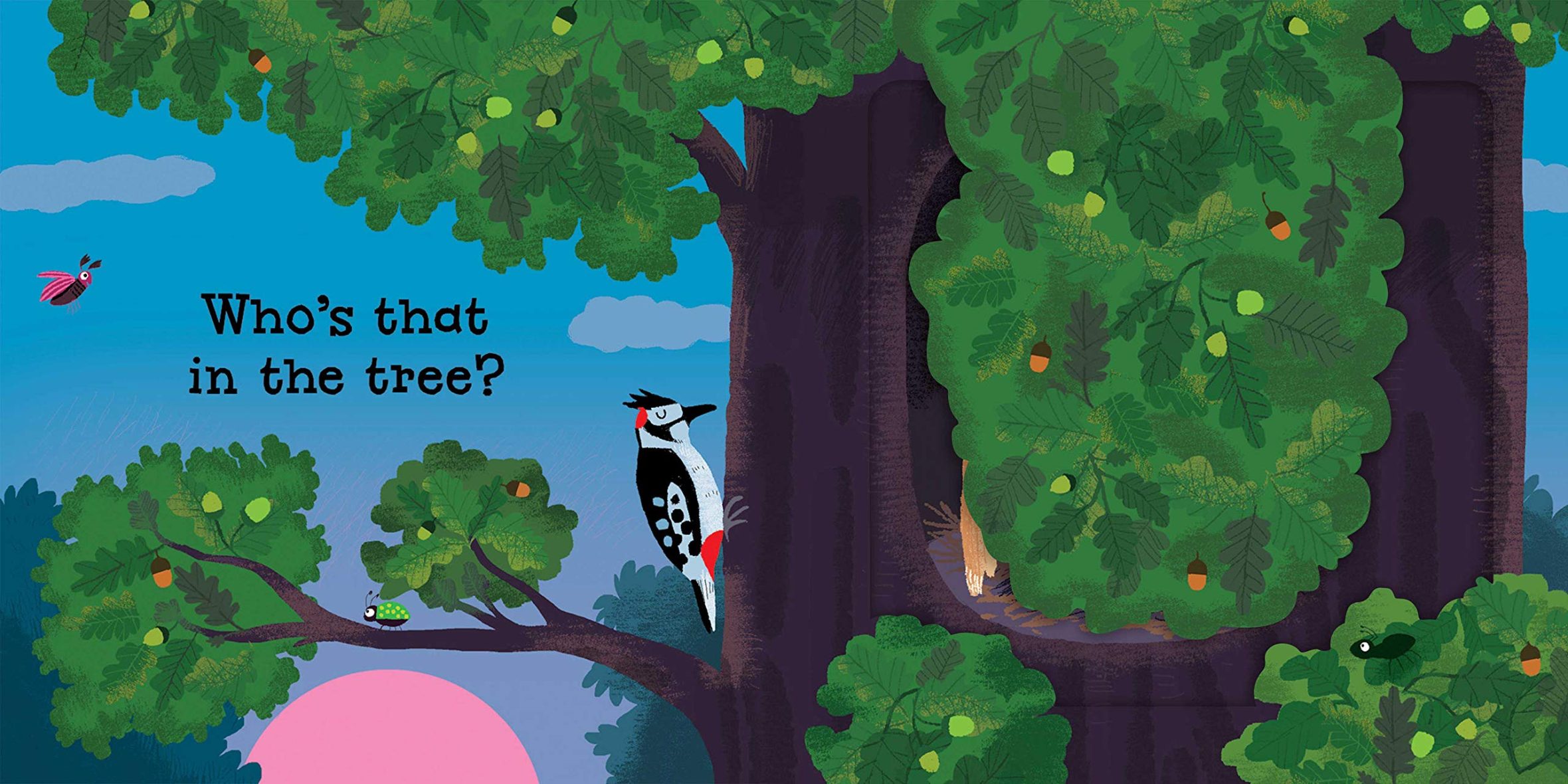 Buy Can You Say It, Too? Twit! Twoo! (Board Book) – Lift the flap Book ...