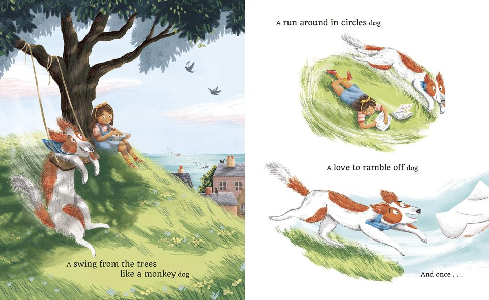 Buy Fidget the Wonder Dog (Picture Book) Book in Pakistan