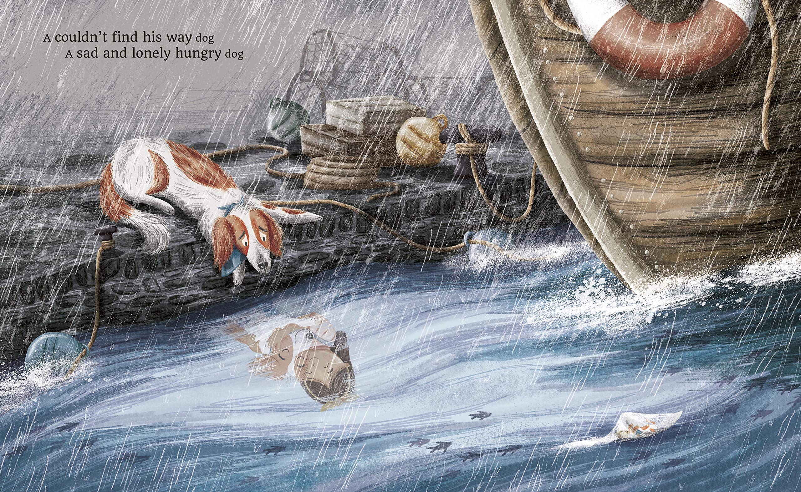 Buy Fidget the Wonder Dog (Picture Book) Book in Pakistan