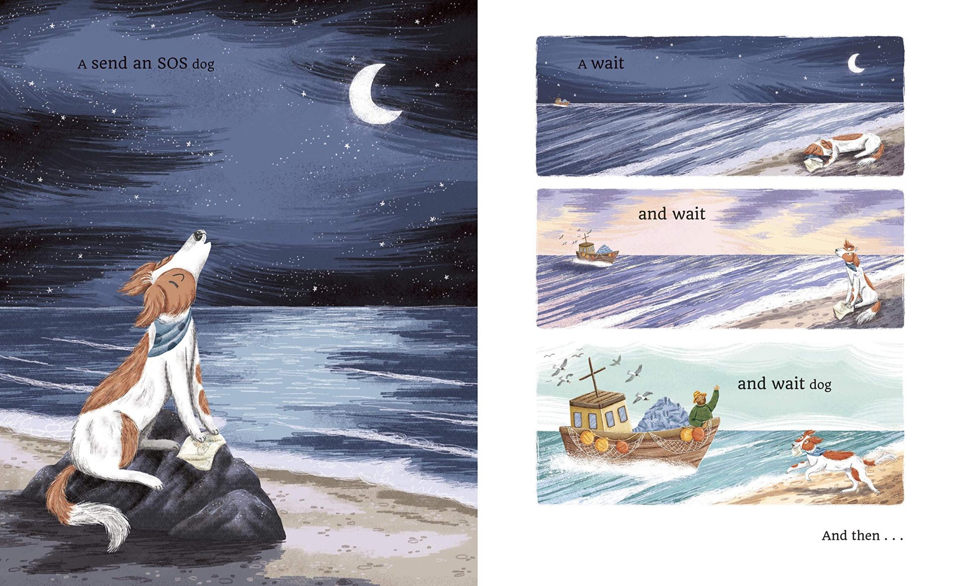 Buy Fidget the Wonder Dog (Picture Book) Book in Pakistan