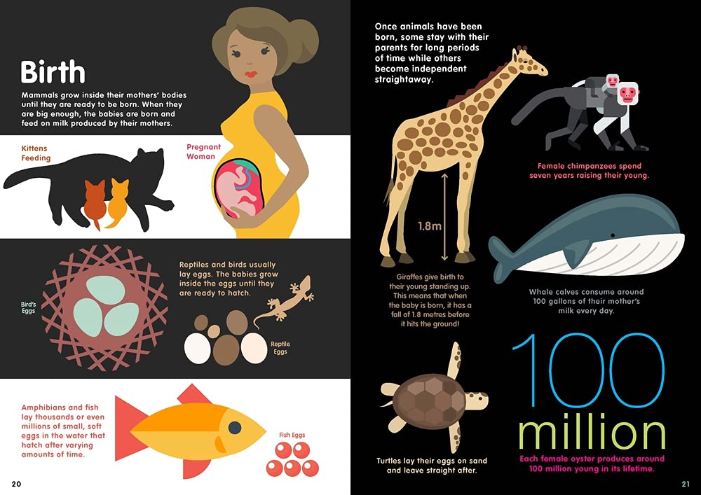 Buy Animal Infographics (Paperback) Book in Pakistan