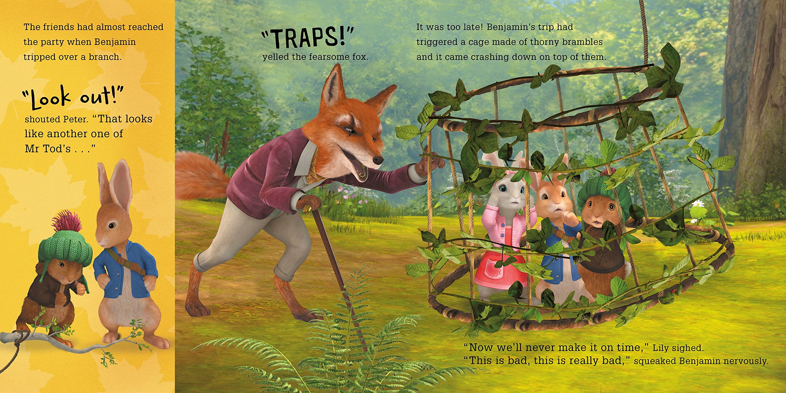 Buy Happy Birthday Peter - Story book (Paperback) Book in Pakistan