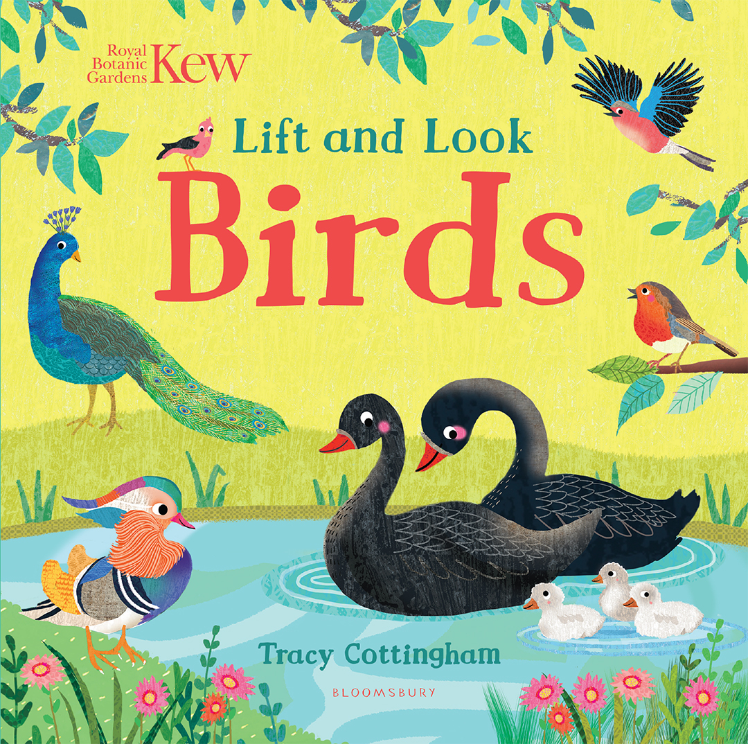 Buy Lift and Look Birds (Board Book) Book in Pakistan