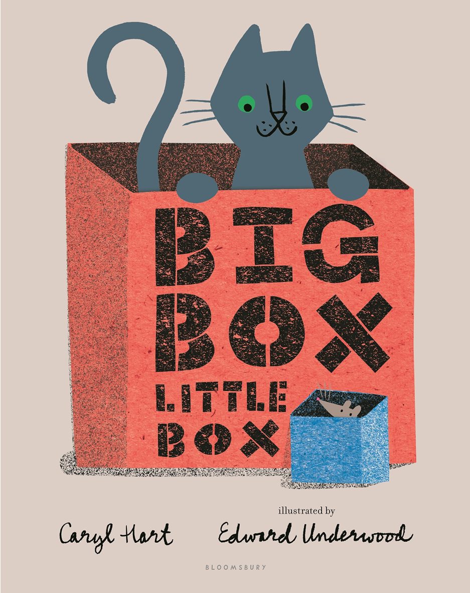 Buy Big Box Little Box (Picture Book) Book in Pakistan