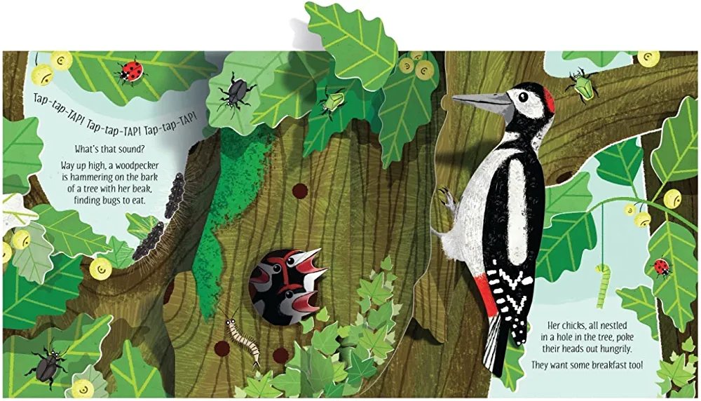 Buy Usborne Pop up Nature Book in Pakistan