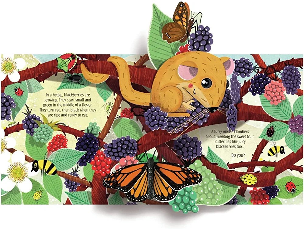 Buy Usborne Pop up Nature Book in Pakistan
