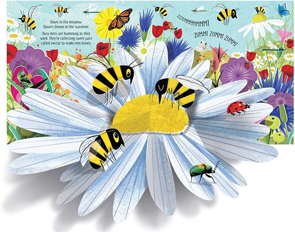 Buy Usborne Pop up Nature Book in Pakistan