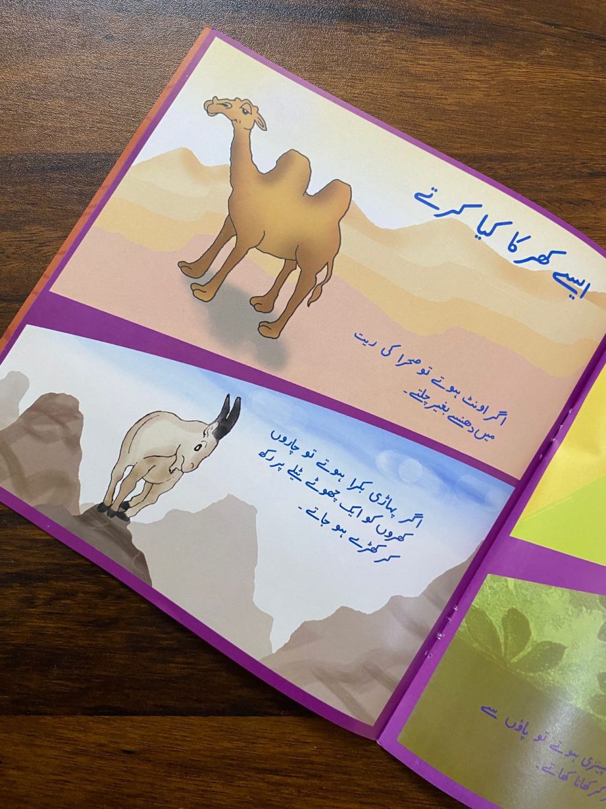 Buy Aisi Chonch Ka Kya Kartay (Urdu) Book in Pakistan