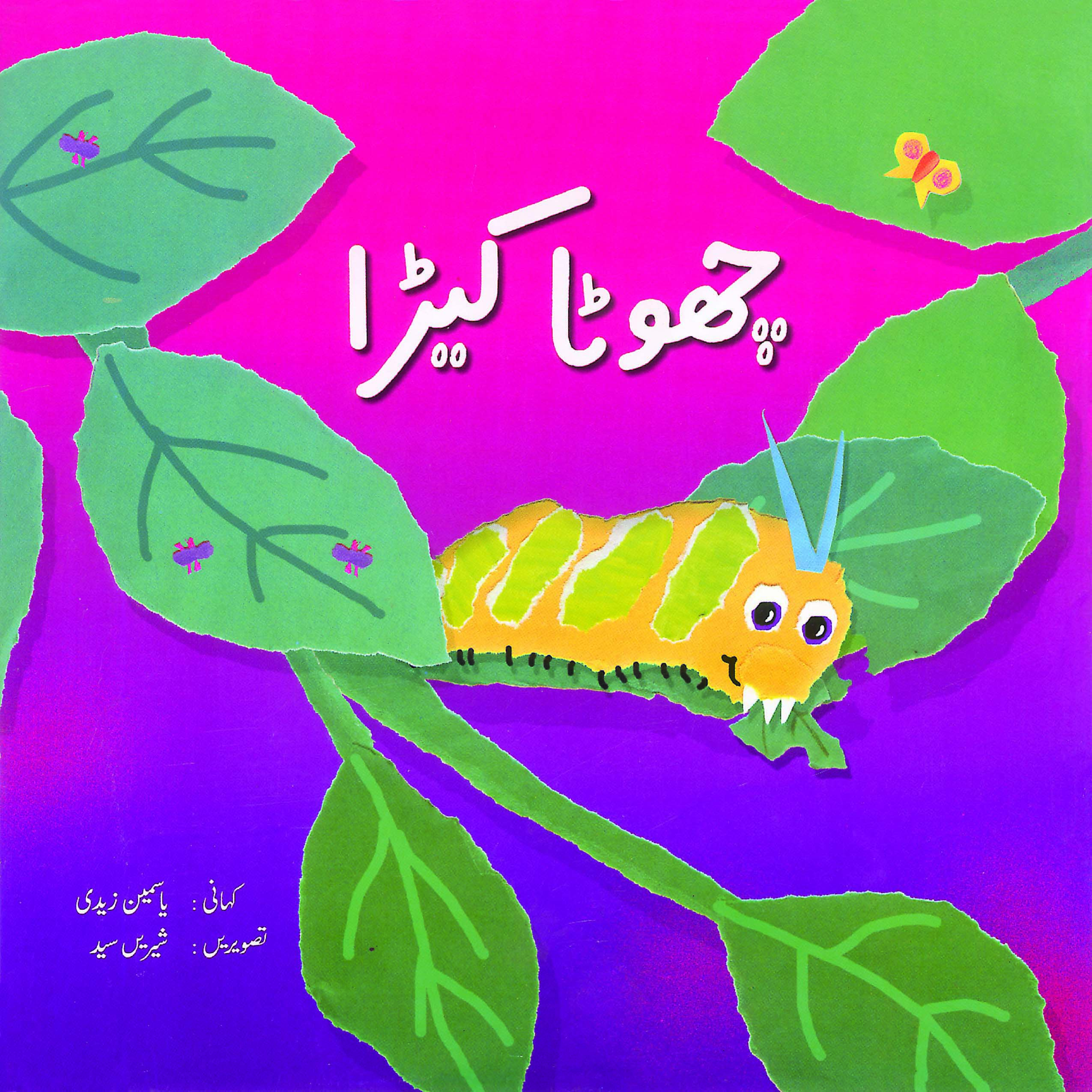 Buy Chhota Keera (Urdu) Book in Pakistan