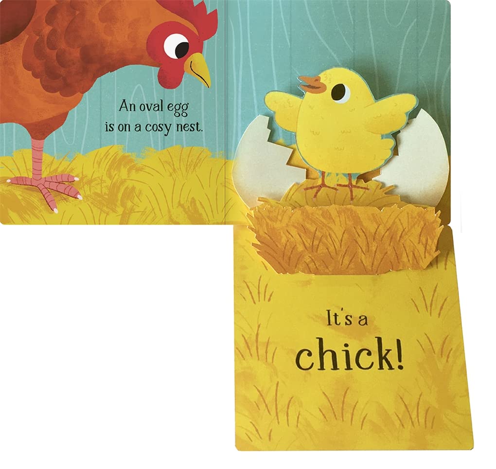 Buy Hatch - A Lift the flap and Pop up Board Book Book in Pakistan