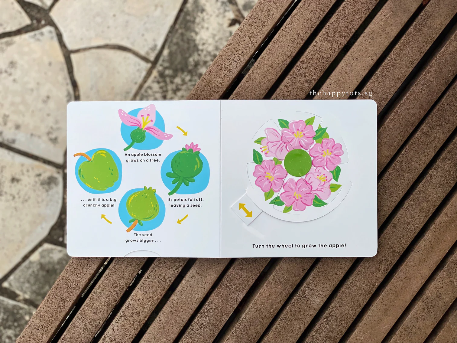 Buy Watch me Grow - A lift the Flap Board Book Book in Pakistan