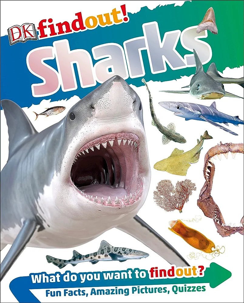 Buy DK Find out! Sharks (Hardcover) Book in Pakistan