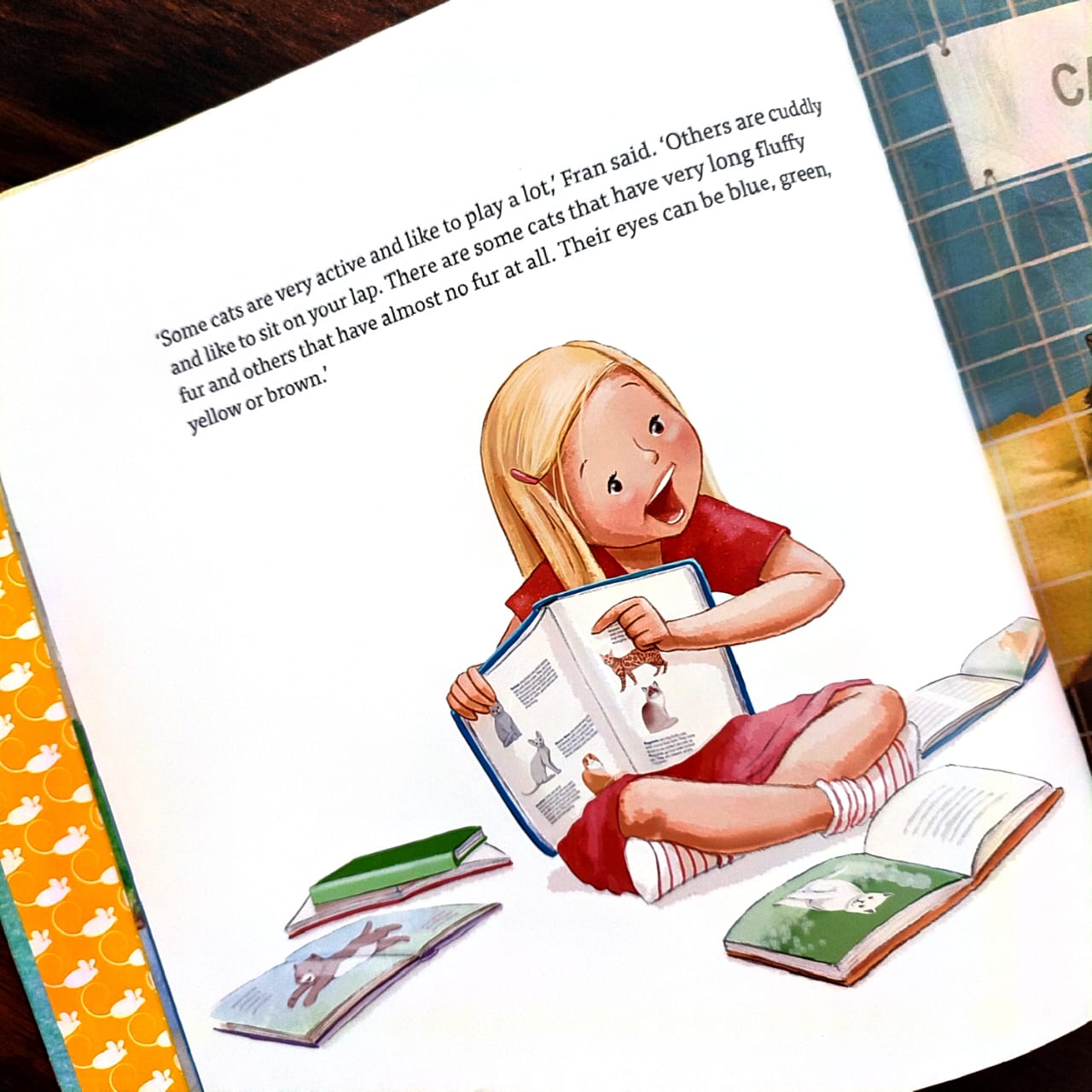 Buy My First Kitten (Hardcover Picture Book) Book in Pakistan