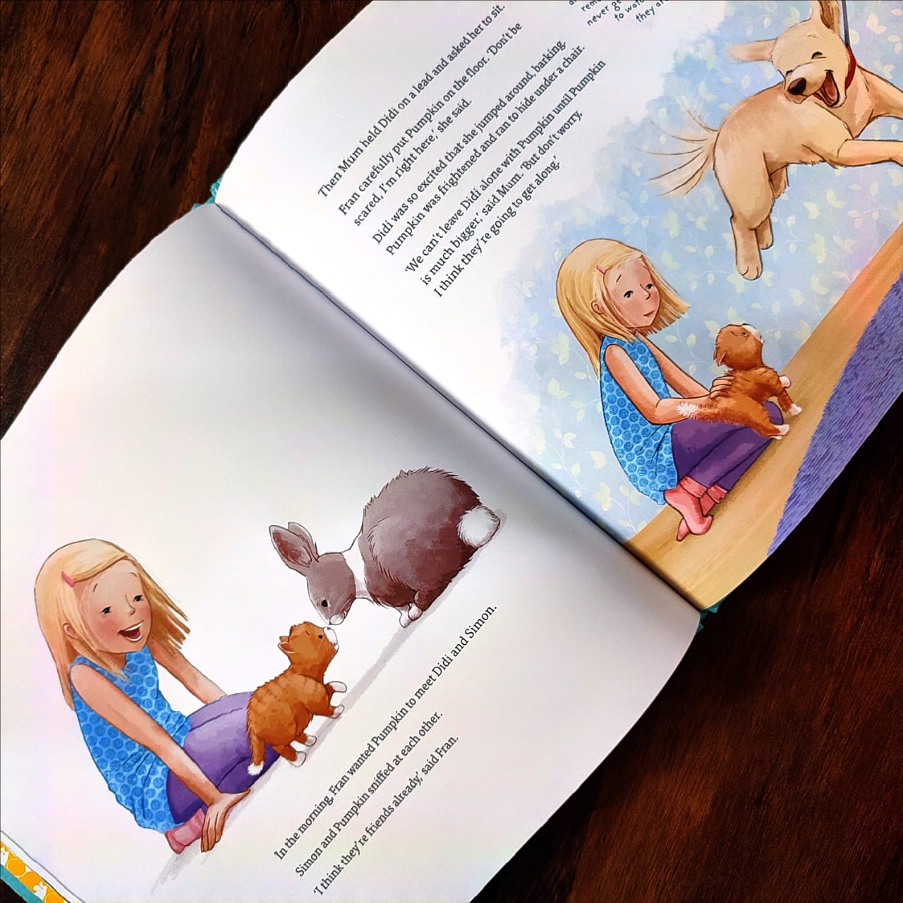 Buy My First Kitten (Hardcover Picture Book) Book in Pakistan