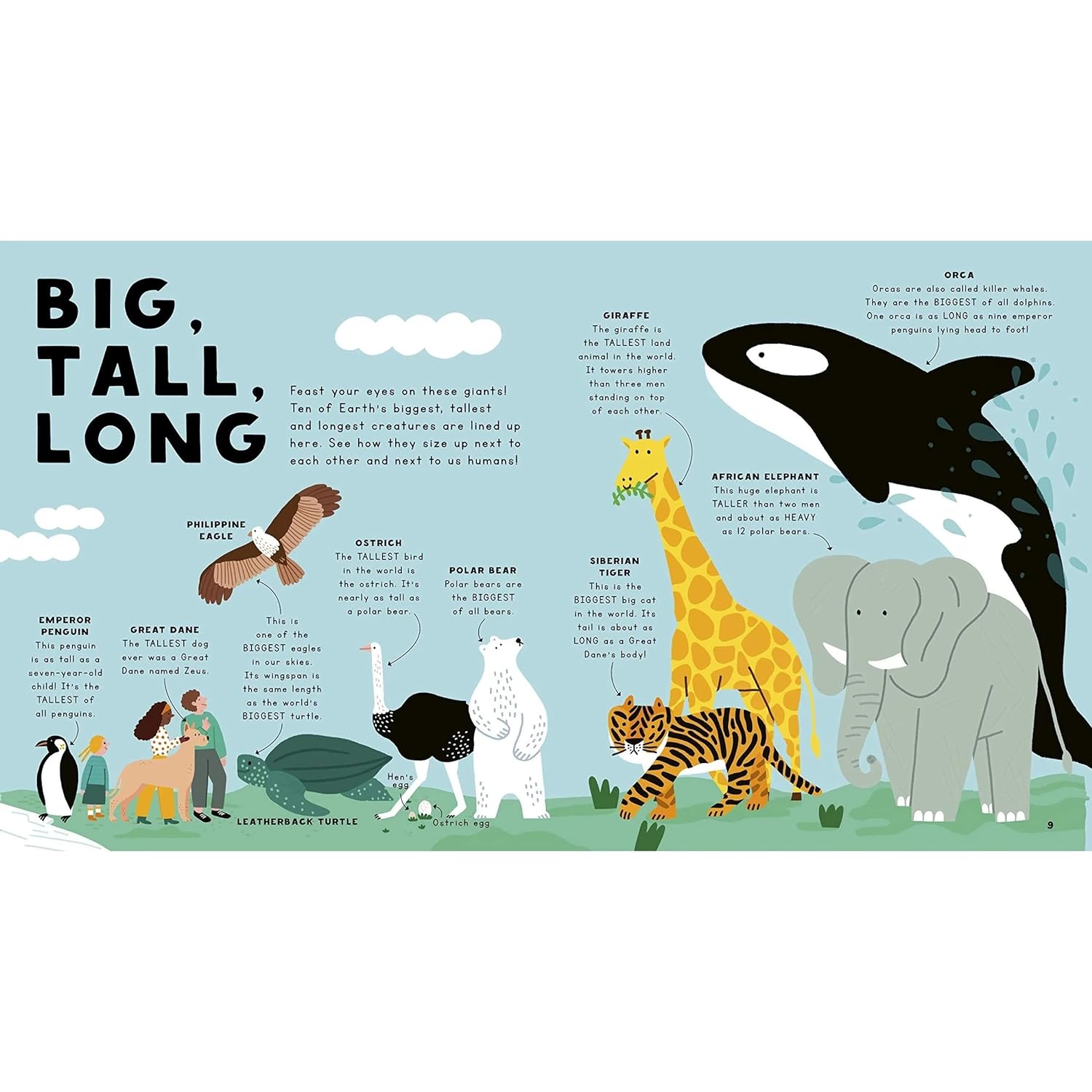 Buy My First Book Of Comparisons (Hardcover) Book in Pakistan