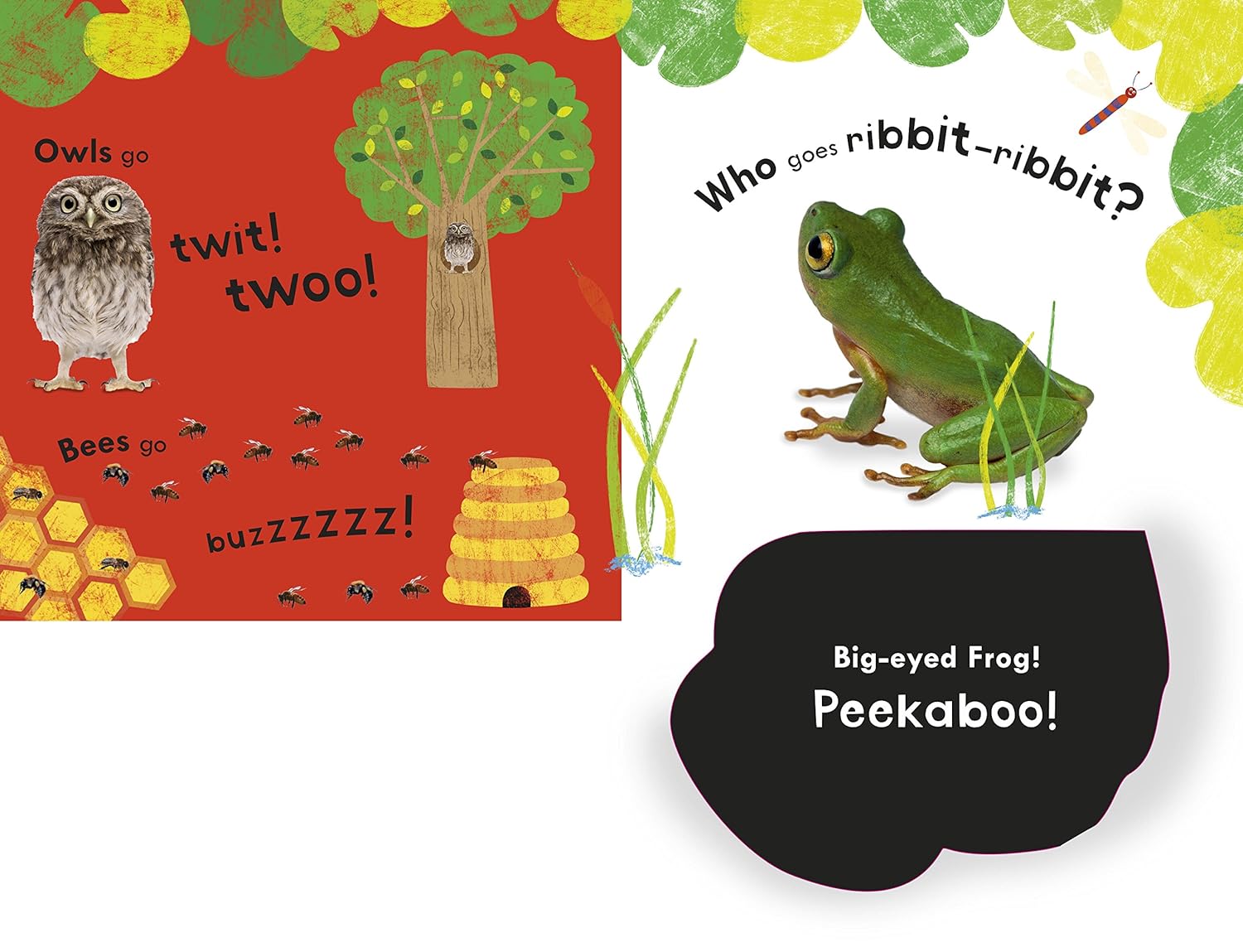 Buy DK Noisy Animal Peekaboo - Sound Book Book in Pakistan