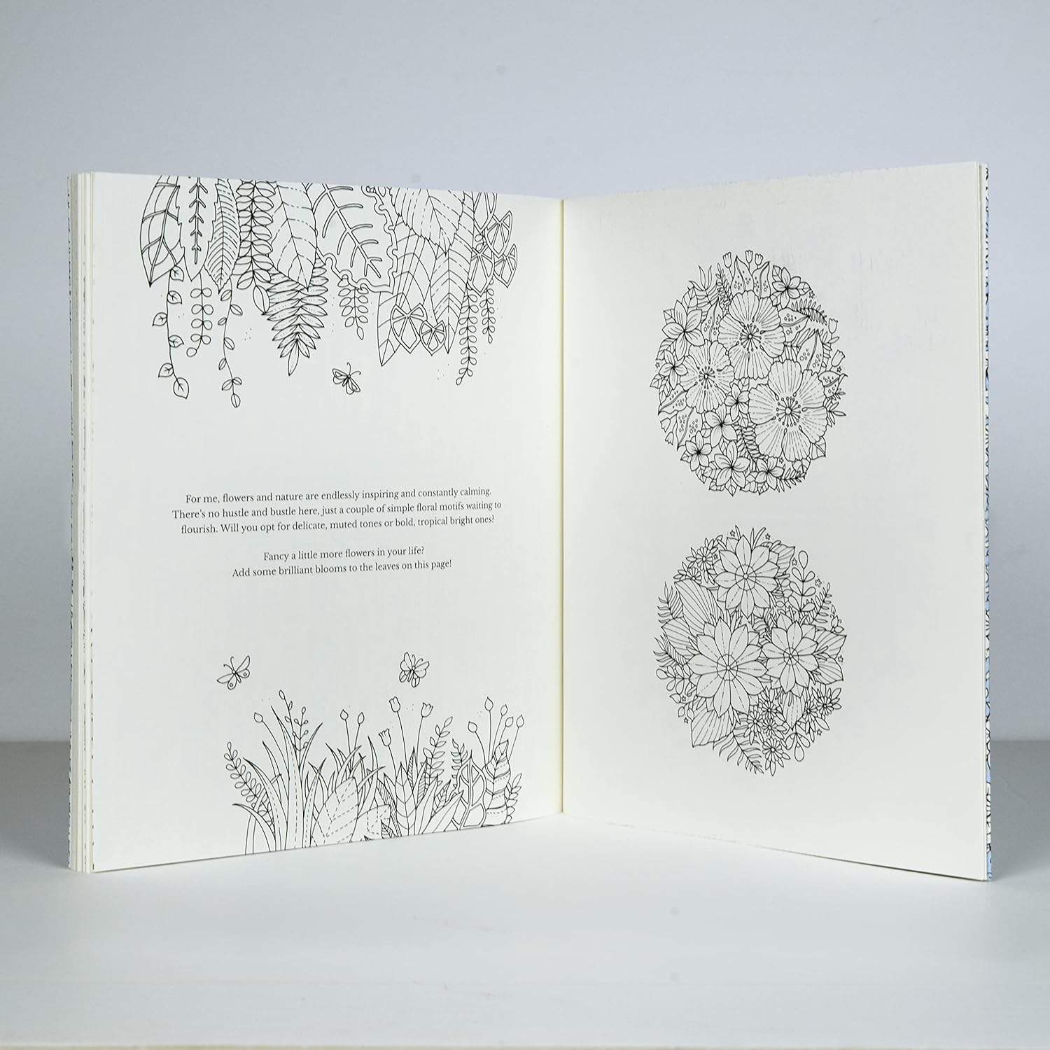 Buy 30 Days of Creativity: Draw, Color, and Discover Your Creative Self ...