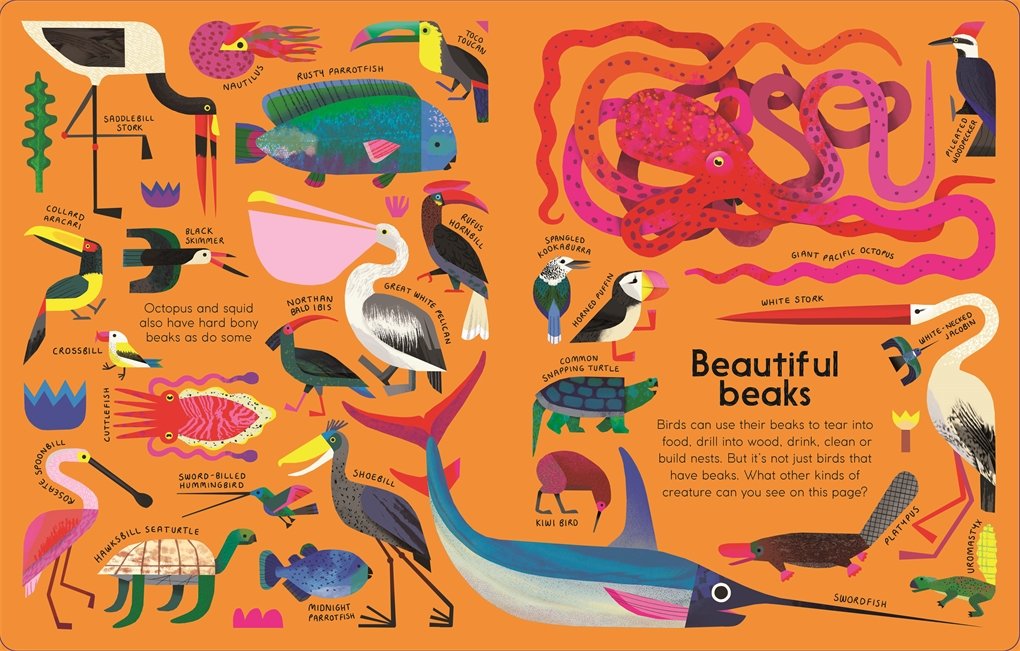 Buy Creature Features Board book – Picture Book Book in Pakistan