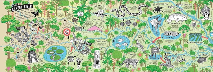 Buy Unfolding Journeys Amazon Adventure (Foldable Chart) Book in Pakistan