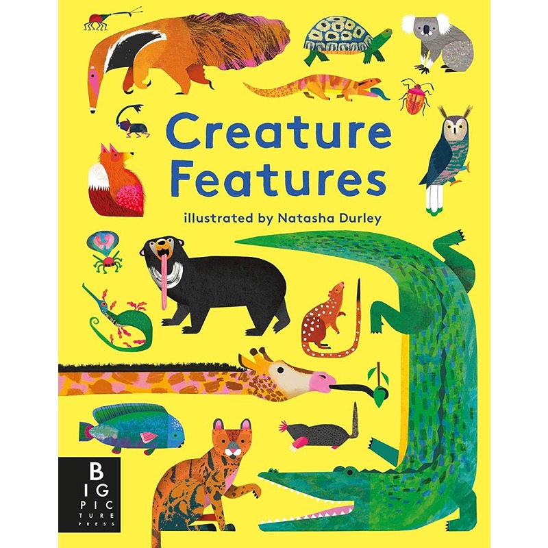 Buy Creature Features Board book – Picture Book Book in Pakistan