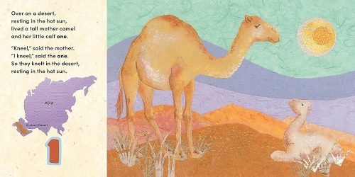 Buy Over on a Desert: A sandy baby animal counting book (Paperback ...