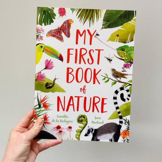 Buy My First Book of Nature (Paperback) Book in Pakistan