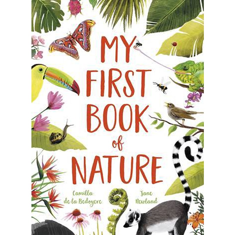 Buy My First Book of Nature (Paperback) Book in Pakistan