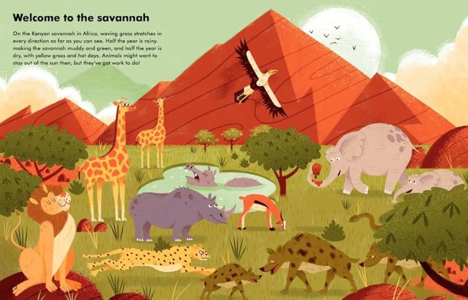 Buy What Do Animals Do All Day? Book in Pakistan