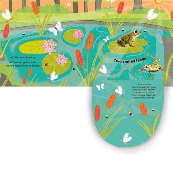 Buy Cover Damaged - Flip Flap Find- In the Woods! Lift the Flap and ...