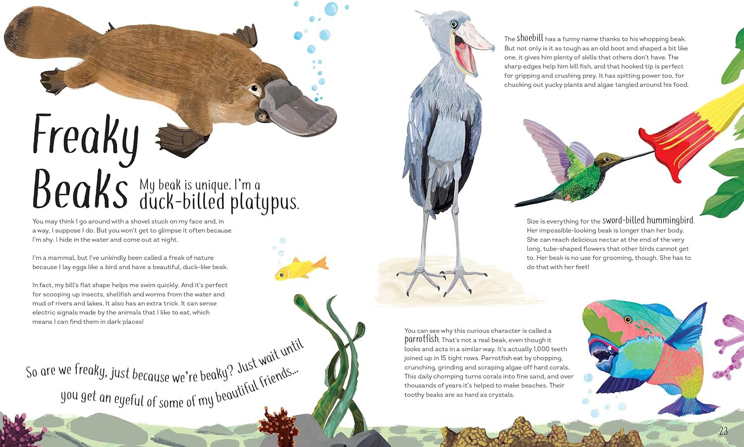 Buy Funny Bums, Freaky Beaks and other incredible creature features ...