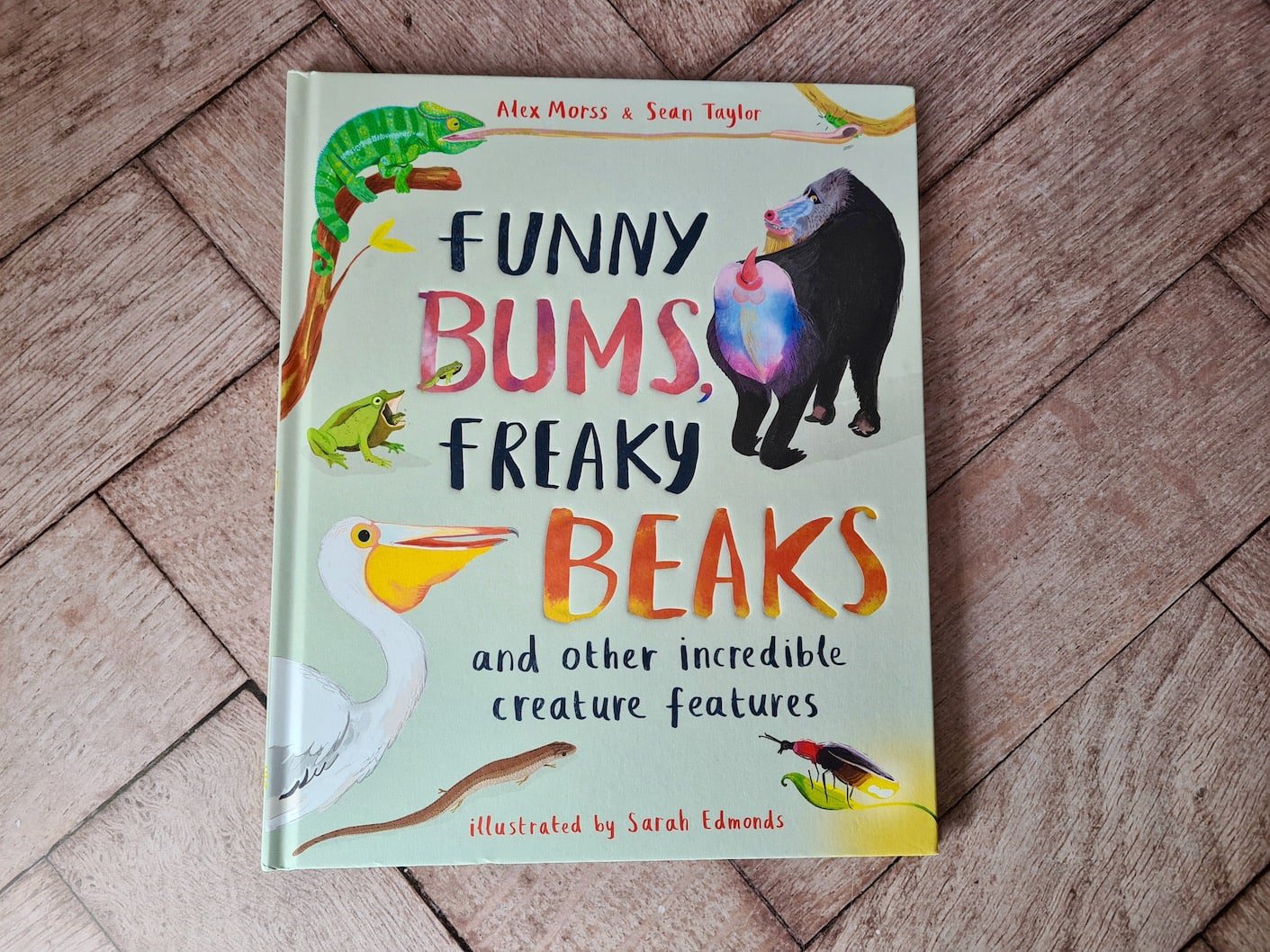 Buy Funny Bums, Freaky Beaks and other incredible creature features ...