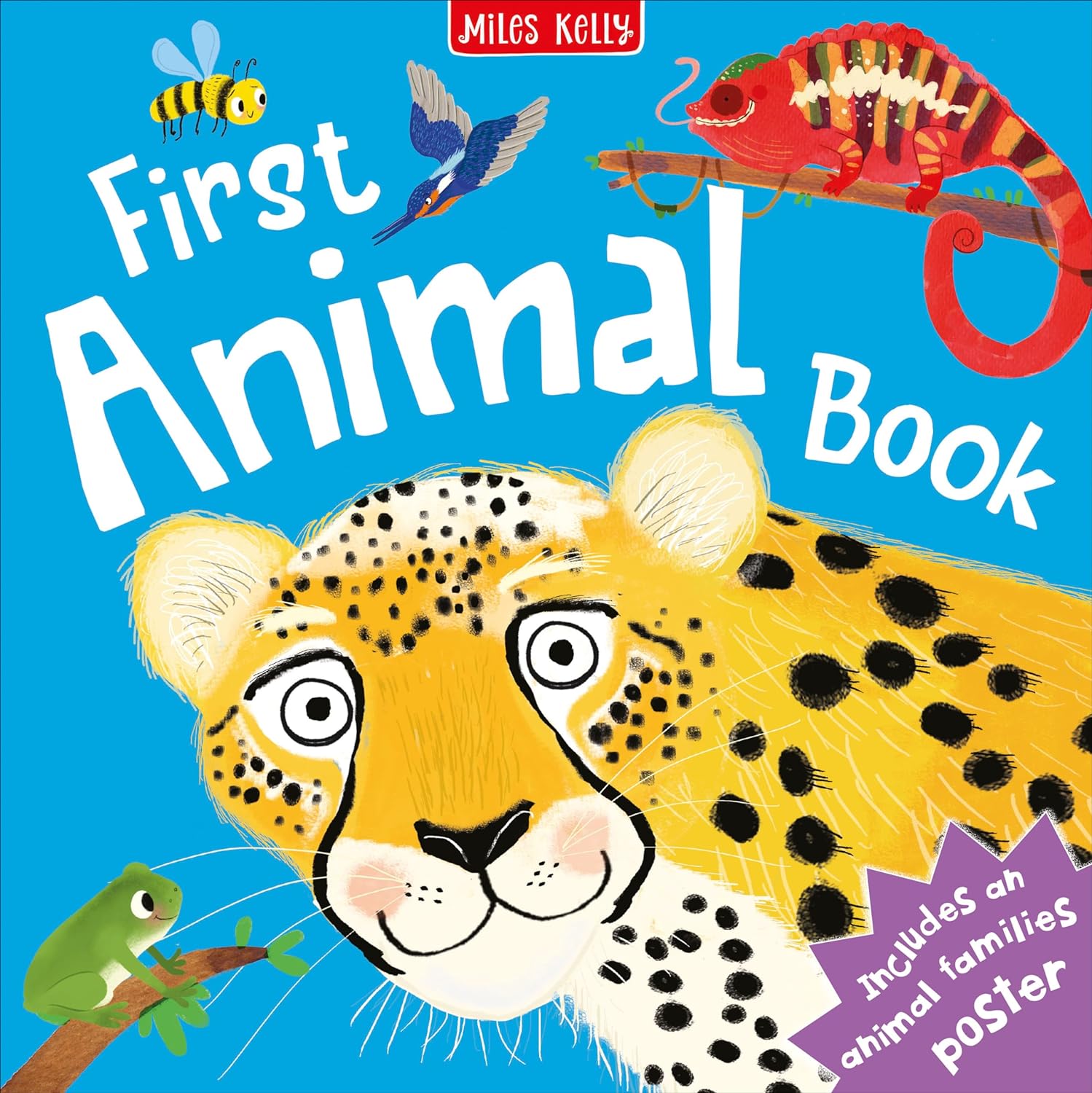 Buy First Animal Book (Hardcover) Book in Pakistan