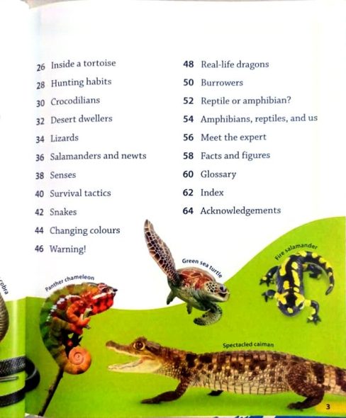 Buy DK Find out! Reptiles and Amphibians Book in Pakistan