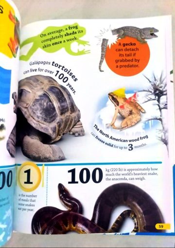 Buy DK Find out! Reptiles and Amphibians Book in Pakistan