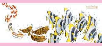 Buy Freaky, Funky Fish (Hardcover) Book in Pakistan