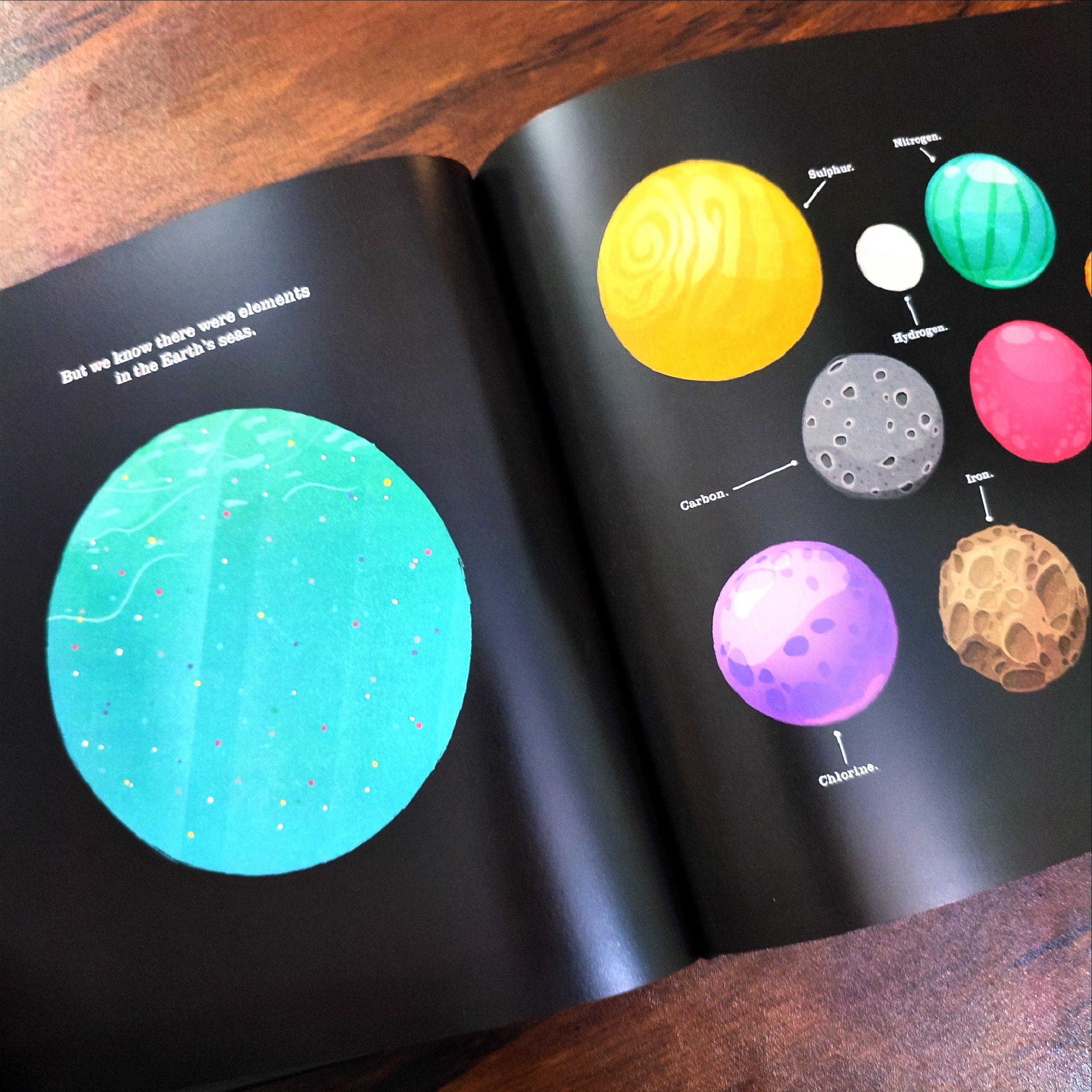 Buy We Go Way Back: A Book About Life on Earth and How it All Began ...