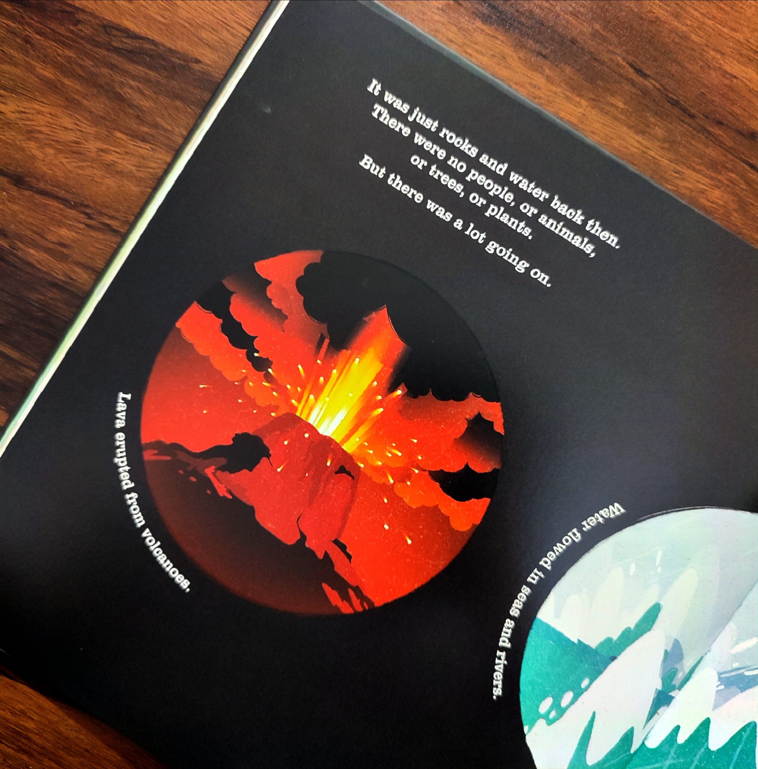 Buy We Go Way Back: A Book About Life on Earth and How it All Began ...