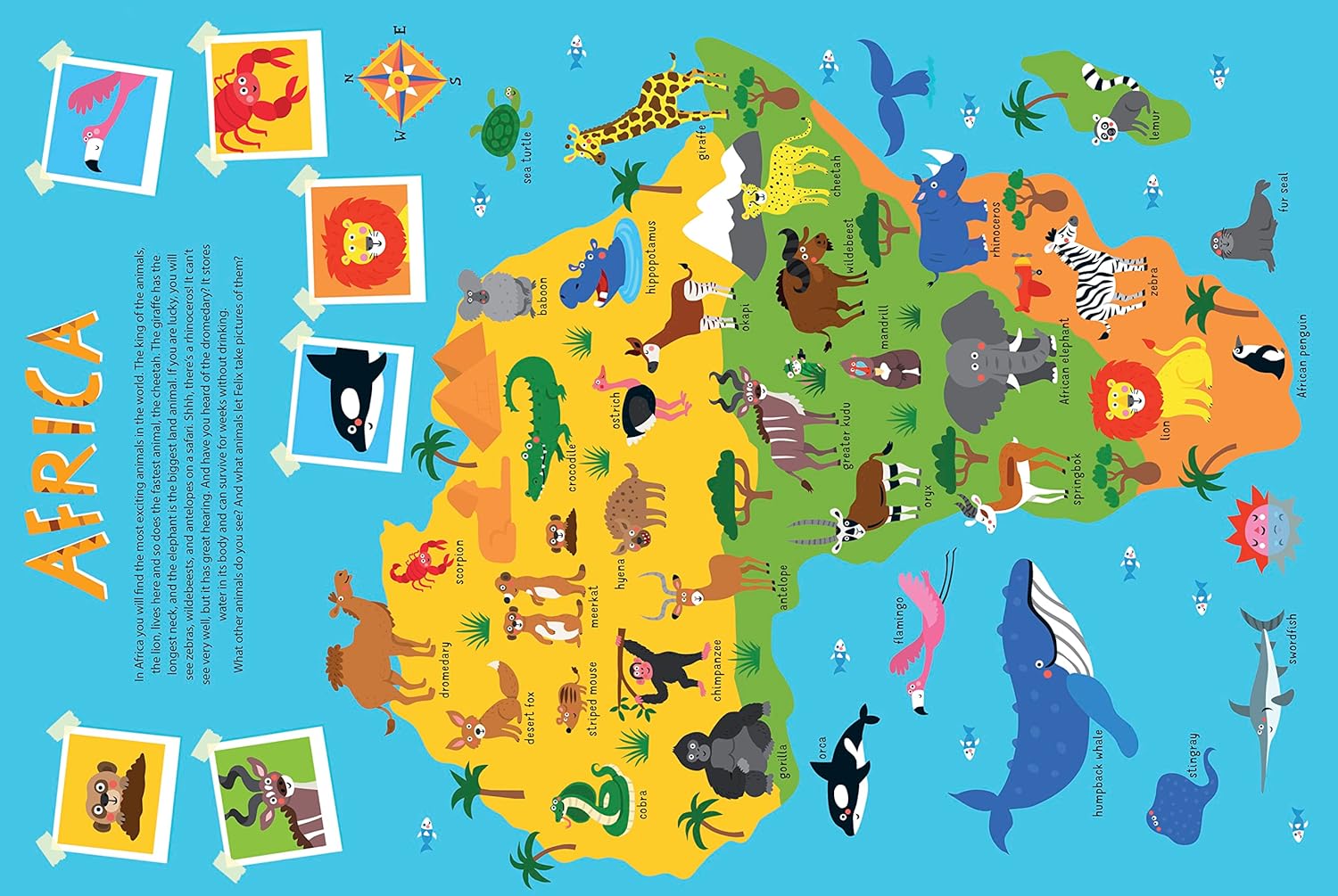 Buy Cover Damaged - My Animal Atlas: Learn about Species and Where They ...