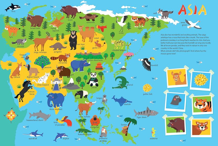 Buy Cover Damaged - My Animal Atlas: Learn about Species and Where They ...