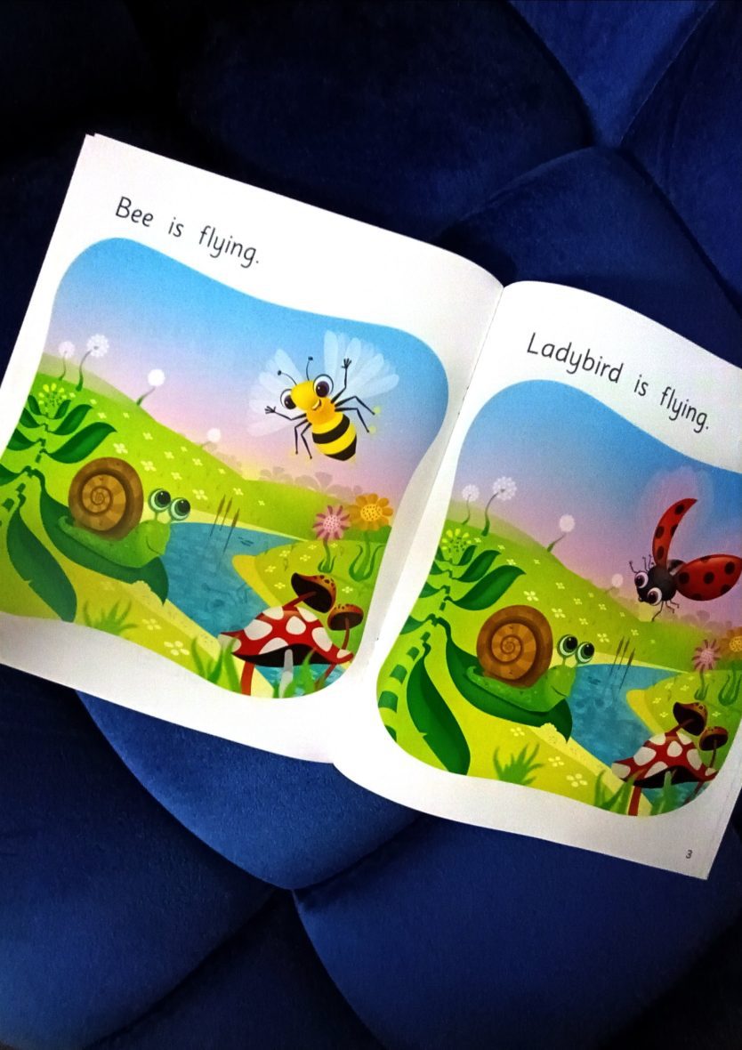 Buy Flying Bugs - Level 1 (Paperback) Book in Pakistan