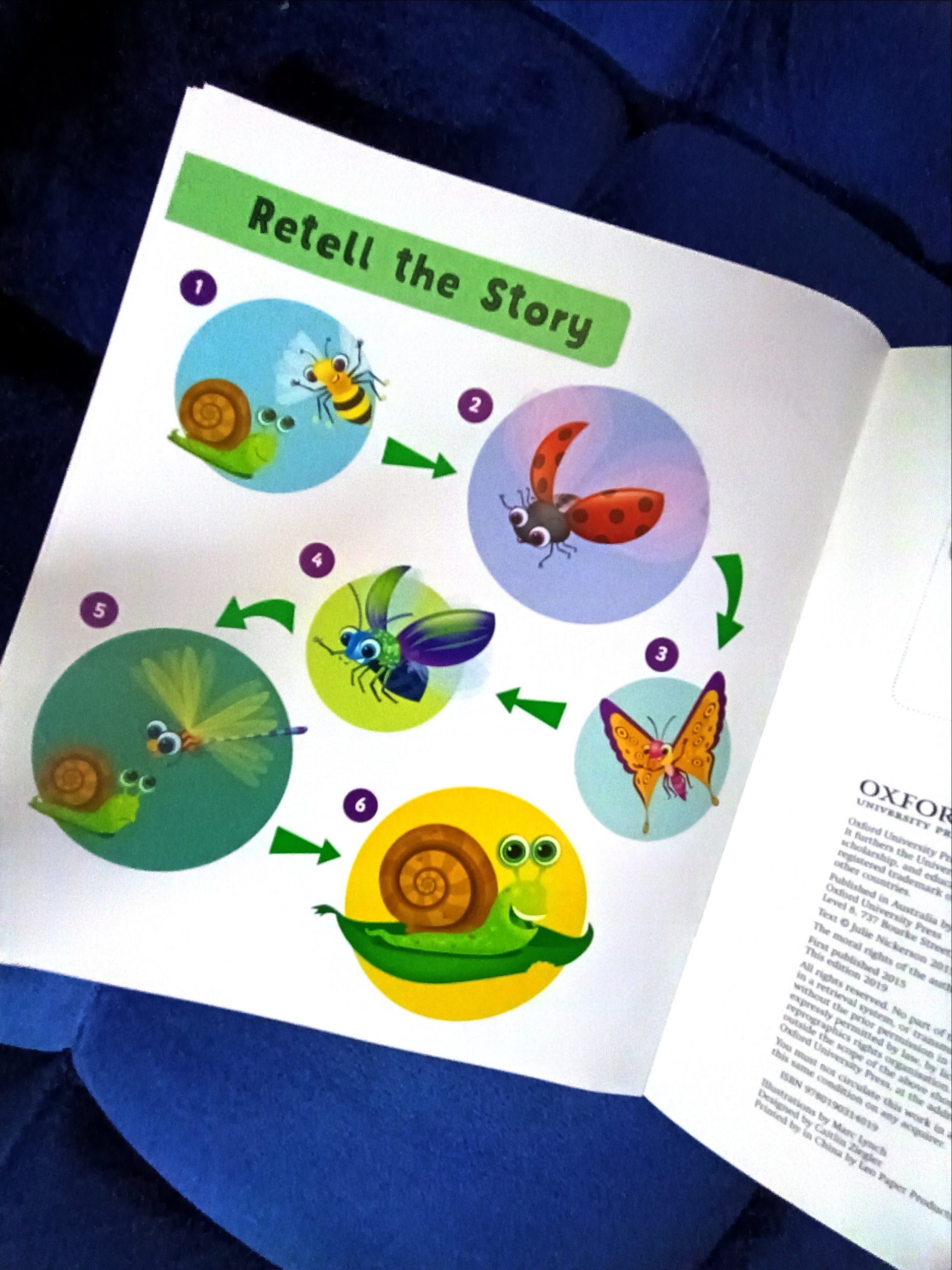 Buy Flying Bugs - Level 1 (Paperback) Book in Pakistan