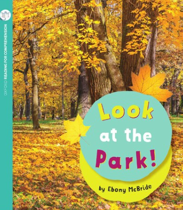 Buy Look at the Park - Level2 (Paperback) Book in Pakistan