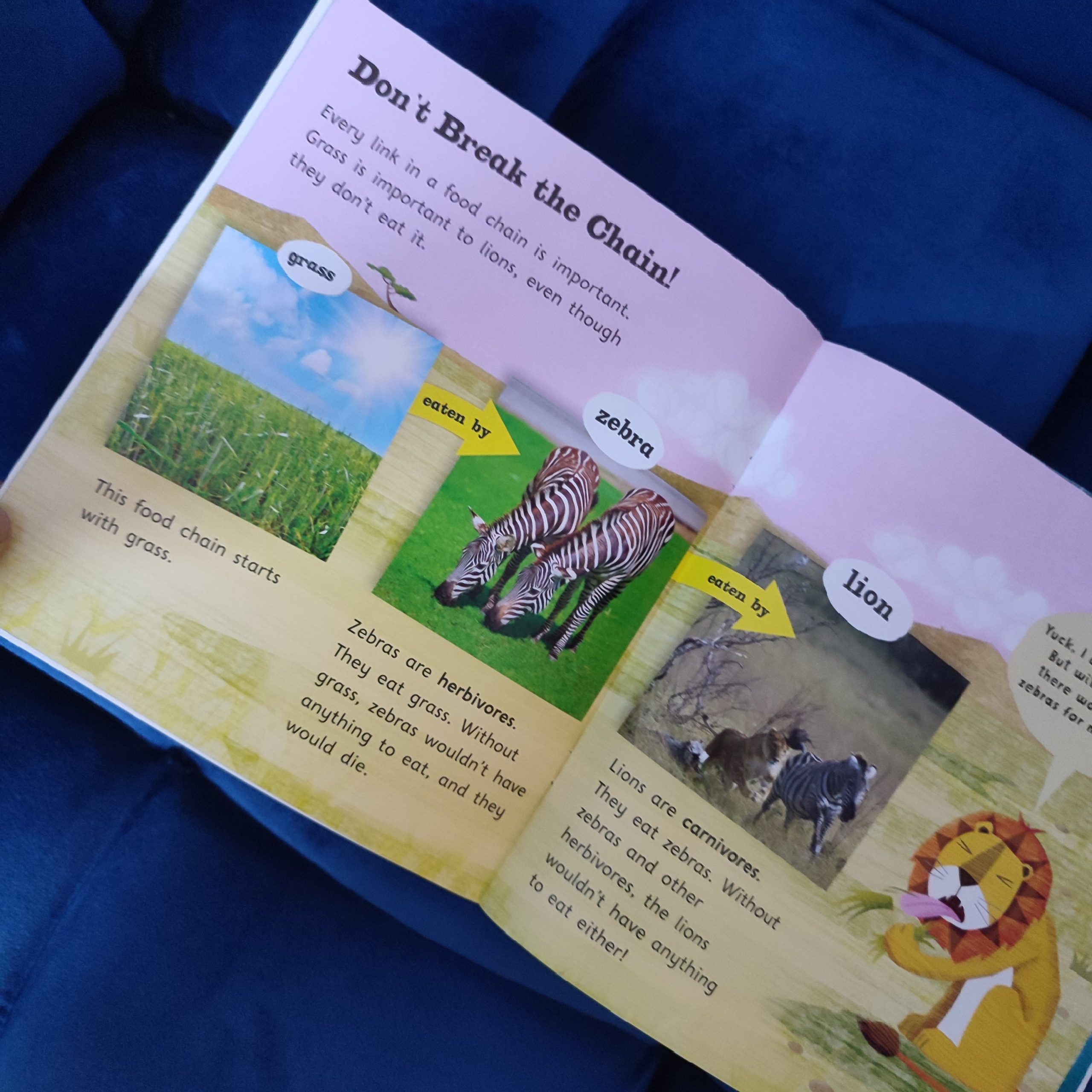 Buy Oxford Reading for Comprehension - Level 6: Who Eats Who? Book in ...