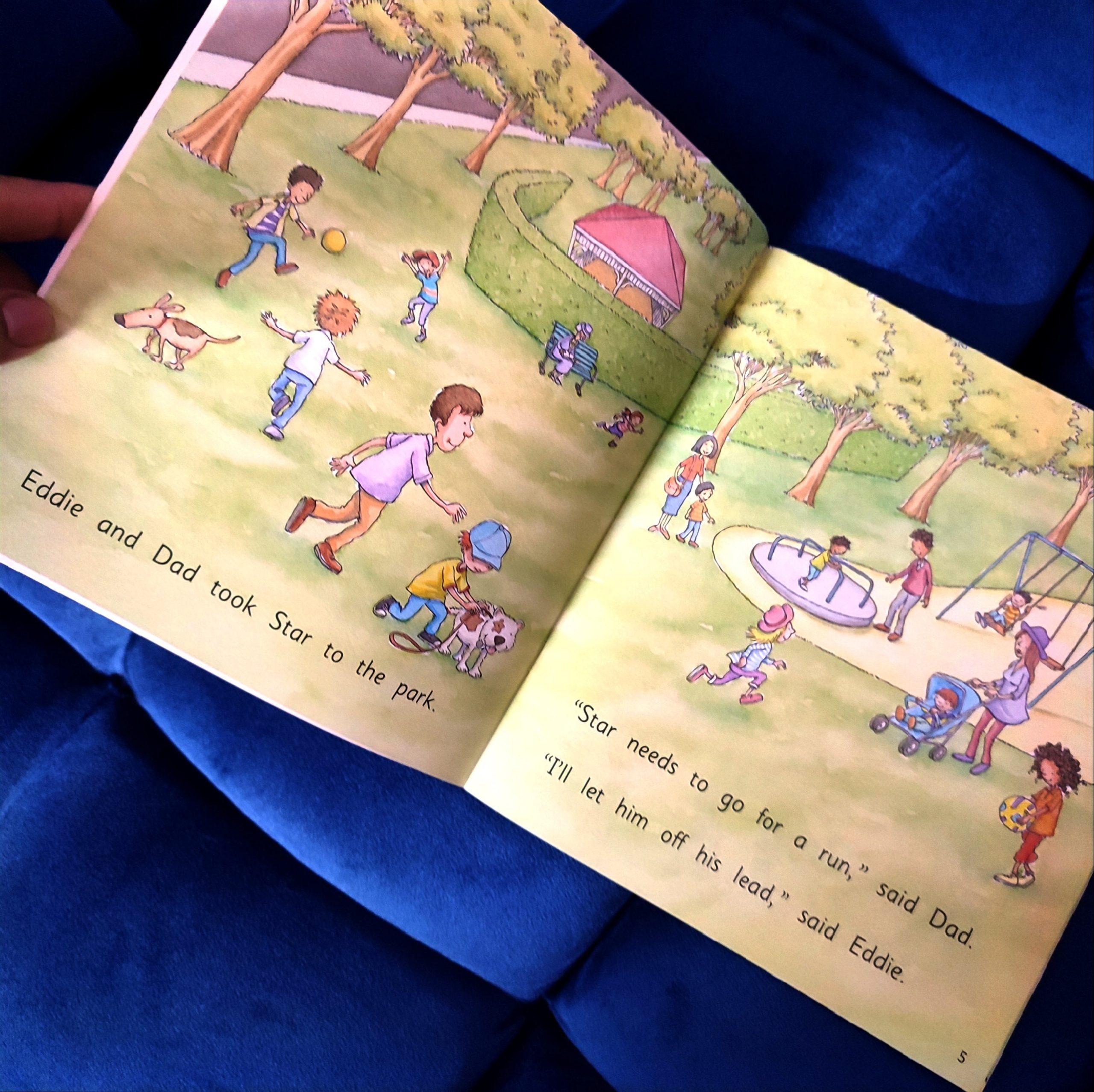 Buy Flying Sausages - Oxford level 4 Book in Pakistan