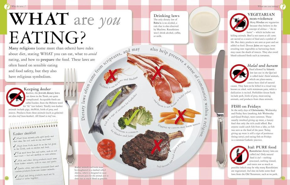 Buy All About Religion - A kid-friendly guide to understanding faiths ...