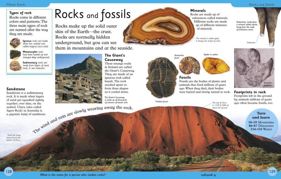 Buy DK First Encyclopedia (Hardcover) Book in Pakistan